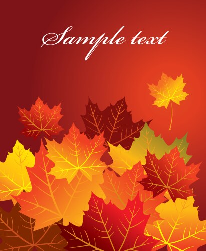 Red border Royalty Free Vector Image - VectorStock