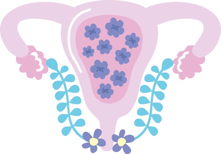 Uterus with Flowers Vector Images (over 480)