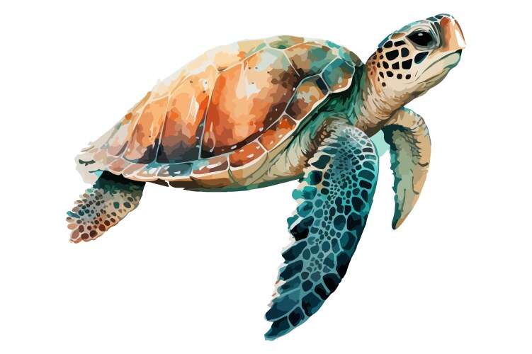 Watercolor sea turtle Royalty Free Vector Image