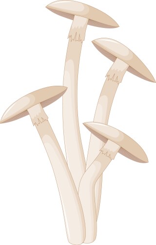 Different Types of Fungi Drawing Isolated Vector Images (36)