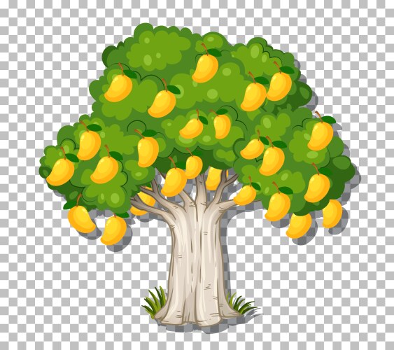 Mango tree on transparent background Royalty Free Vector
