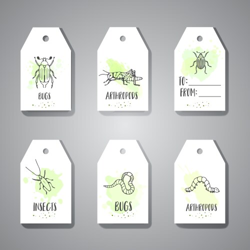 Bugs insects hand drawn background pest control Vector Image