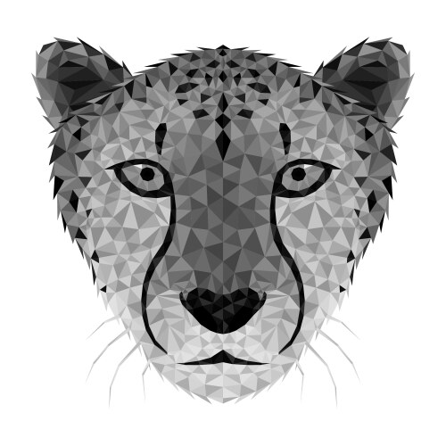Puma cougar low poly face Royalty Free Vector Image