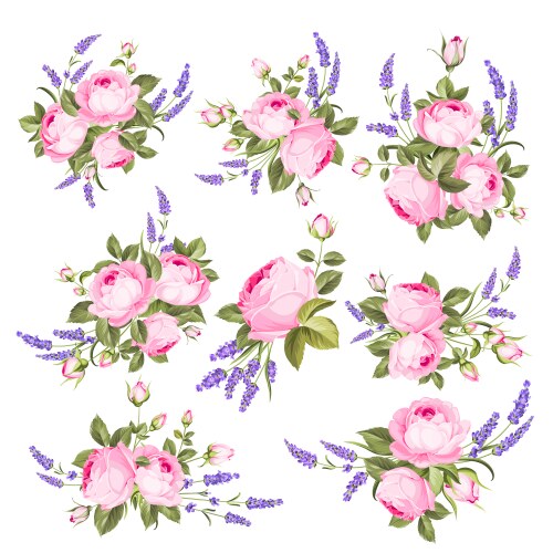 Garden flowers collection Royalty Free Vector Image