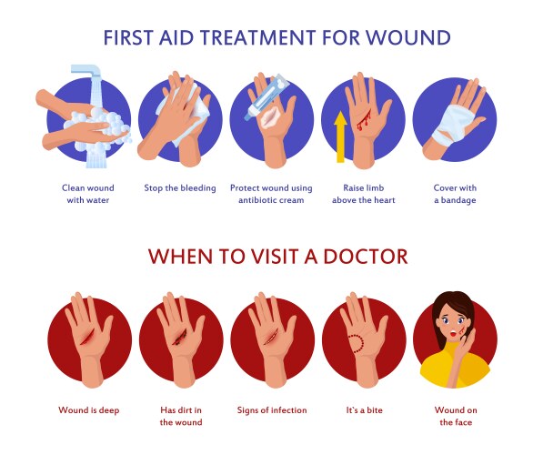 Wound Treatment First Aid Guide Royalty Free Vector Image