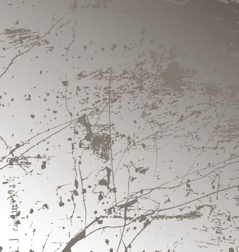 Whitewash texture overlay Royalty Free Vector Image