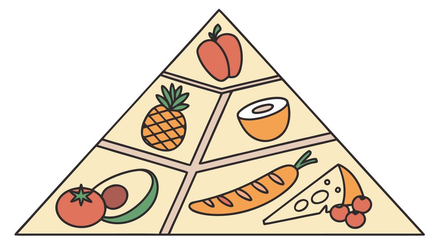 Food pyramid with proteins Vector Images & Graphics for Commercial Use ...