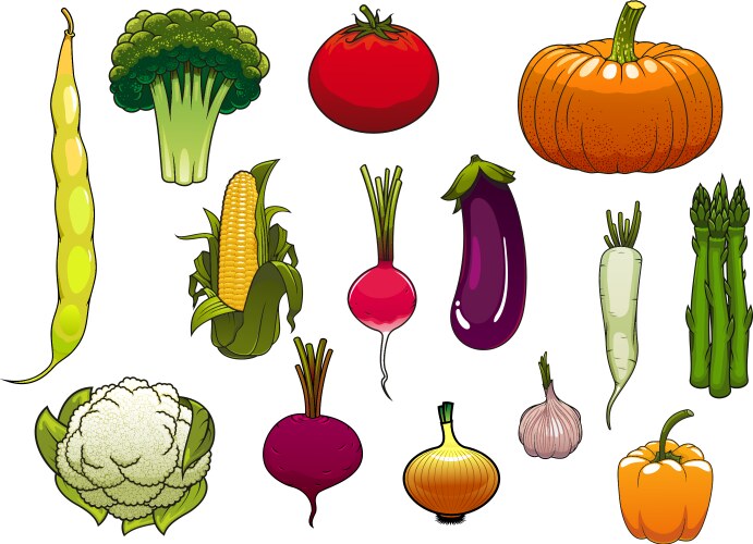 Cartoon vegetables garden farm background Vector Image