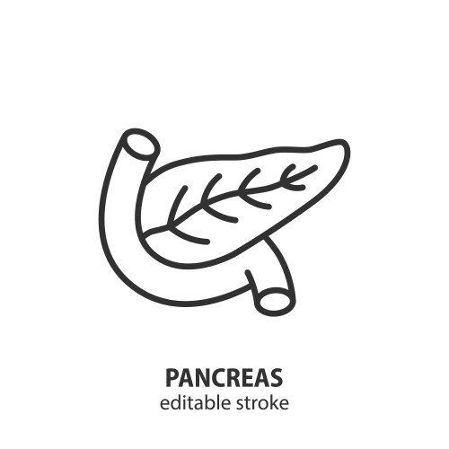 Pancreas Vector Images (over 6,300)