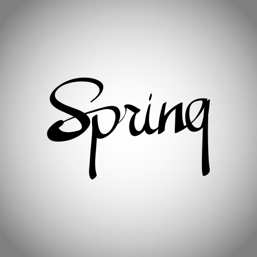 Handball hand lettering - handmade calligraphy Vector Image