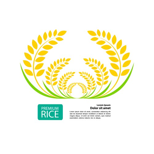 Rice Royalty Free Vector Image - VectorStock
