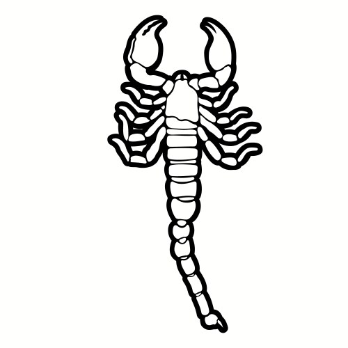 Scorpio Scorpion Outline Vector Images (over 880)