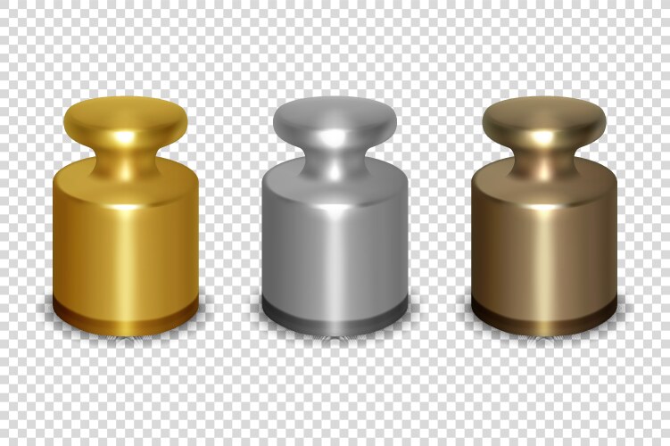 Realistic detailed 3d calibration weight Vector Image