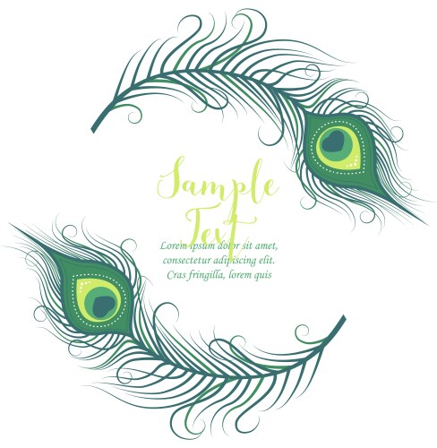 Background with peacock feathers Royalty Free Vector Image