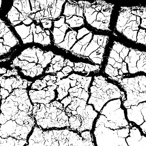 Dry cracked soil Royalty Free Vector Image - VectorStock