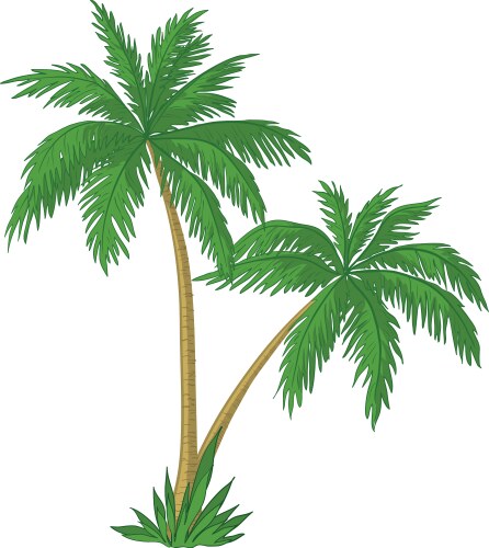 Palm tree on transparent background Royalty Free Vector