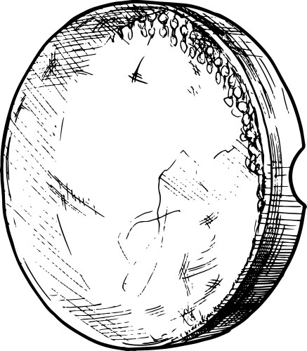 Persian Frames Vector Images (over 6,500)