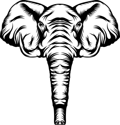 Elephant Outline Vector Images (over 12,000)