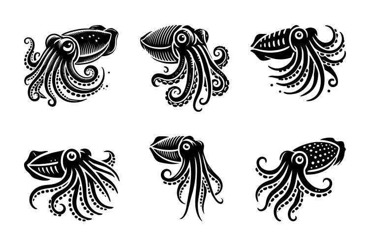 Cuttlefish silhouette set great for logos icons Vector Image