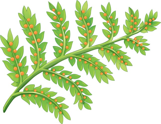 Plant Vector Images (over 2.1 million)