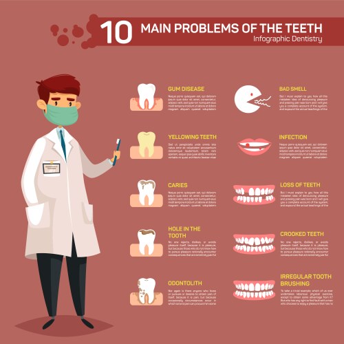 Human teeth infographic Royalty Free Vector Image
