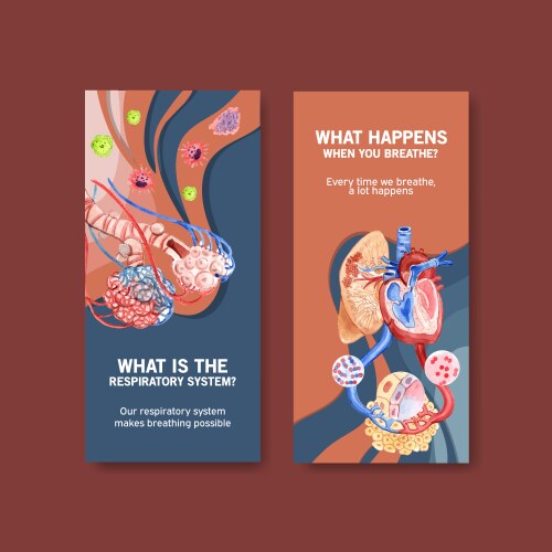 Respiratory flyer design with human anatomy Vector Image