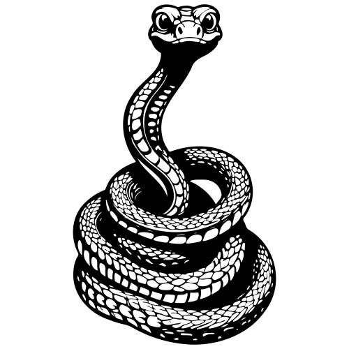 Snake Line Art Vector Images (over 6,600)