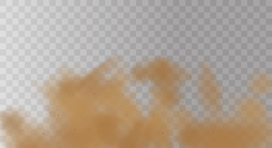 3d realistic dust cloud isolated on a transparent Vector Image