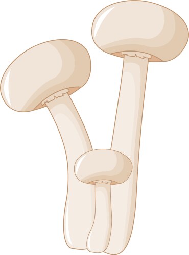 Different Types of Fungi Drawing Isolated Vector Images (36)