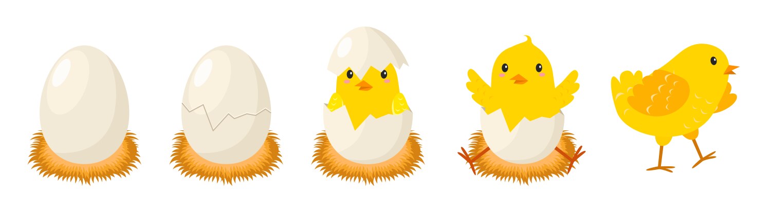 Hatching chick Royalty Free Vector Image - VectorStock
