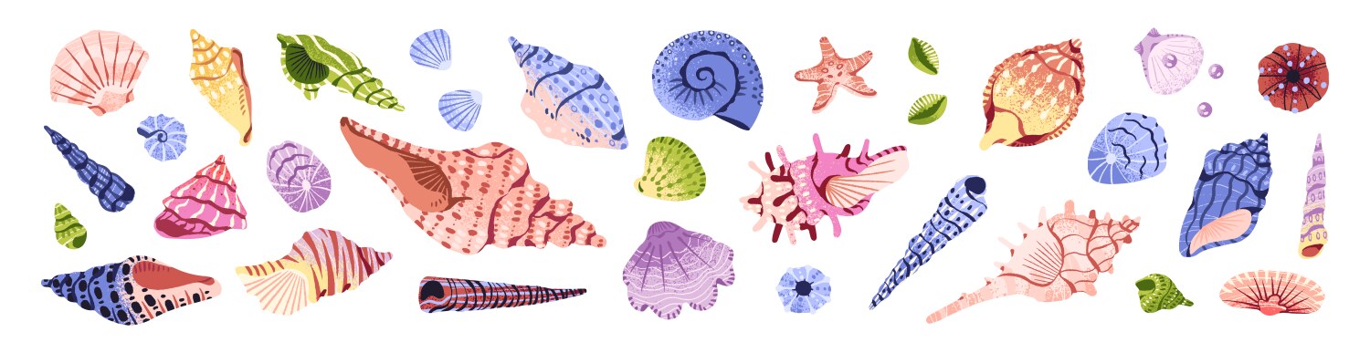 Seashells Vector Images (over 35,000)