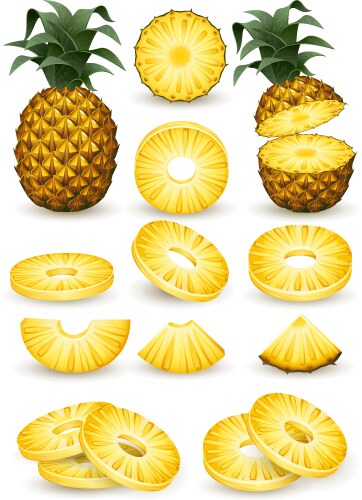 Pineapple Vector Images (over 55,000)