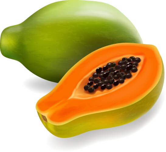 Papaya set pawpaw slice and whole juicy fruit Vector Image