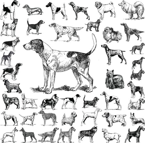 Dogs Vector Images (over 430,000)