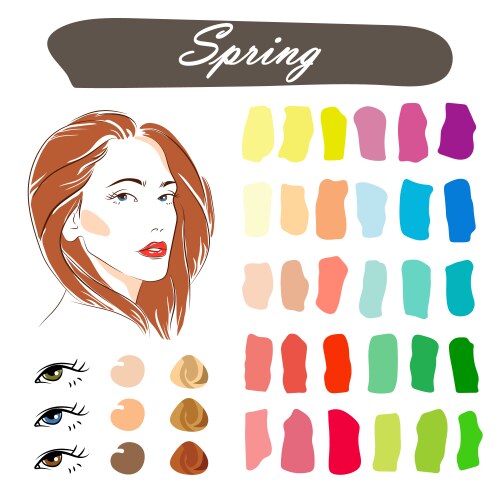 Seasonal color analysis spring palette Royalty Free Vector