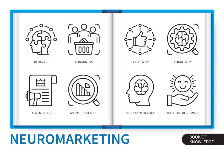 Content analysis infographics linear icons Vector Image