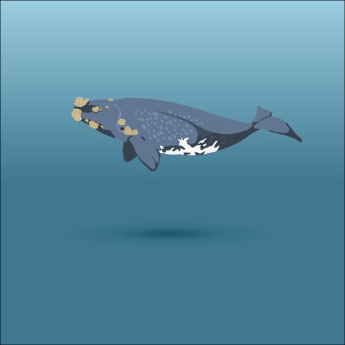 Whale at depth realistic composition Royalty Free Vector