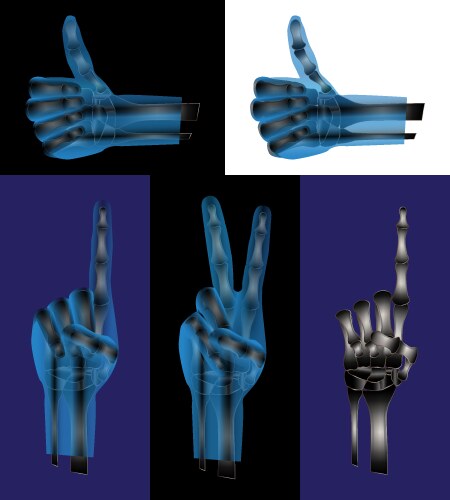 Skeleton Fist Vector Images (over 120)