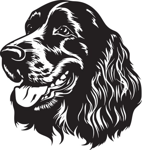 Cocker spaniel - black and white isolated icon Vector Image