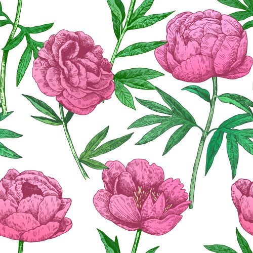 Colorful seamless pattern with peony flowers Vector Image
