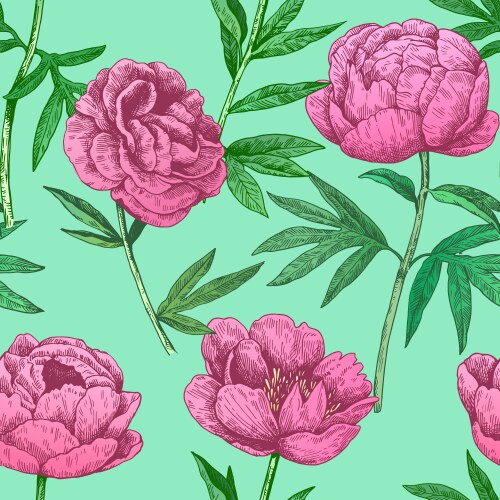 Colorful seamless pattern with peony flowers Vector Image