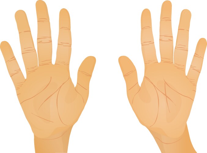 Two Hands Vector Images (over 63,000)