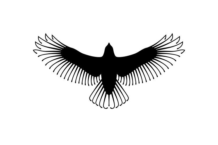 Engraving stylized hawk on white background Vector Image