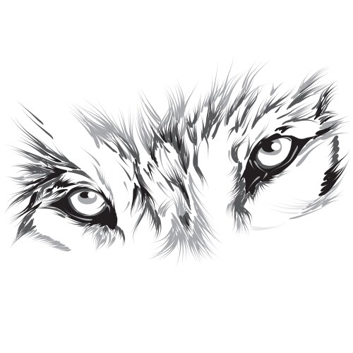 Wolf Vector Images (over 51,000)