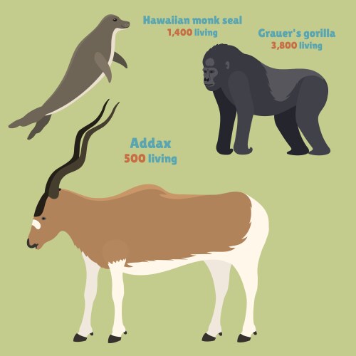 Monkey Monk Vector Images (63)