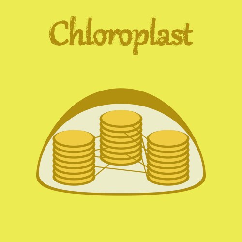 Icon in flat style chloroplast Royalty Free Vector Image