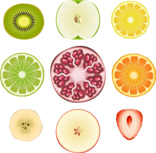 Fruit Vector Images (over 860,000)