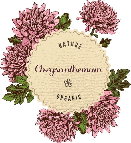 Aster logo Vector Images & Graphics for Commercial Use | VectorStock