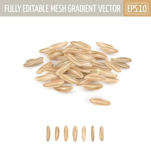 Rice Grain Vector Images (over 22,000)