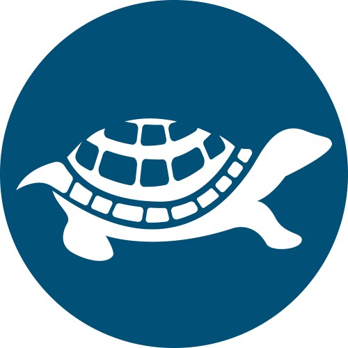 Turtle Top View Vector Images (over 200)